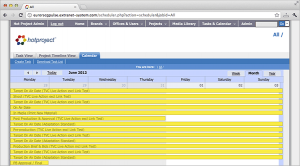 DHTMLX Customer Spotlight: Hot Project