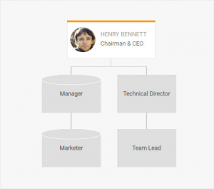 DHX Diagram 2.2: Custom Shapes for JavaScript Diagrams and Org Charts
