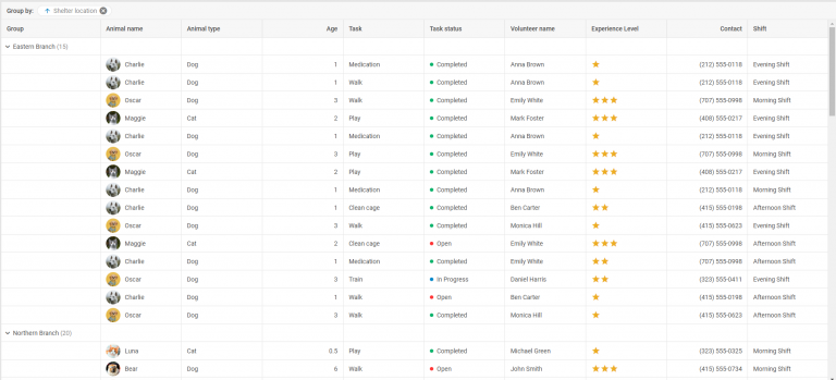 DHTMLX Suite 9.0: Grid Widget with Tree Mode, Data Grouping, and More