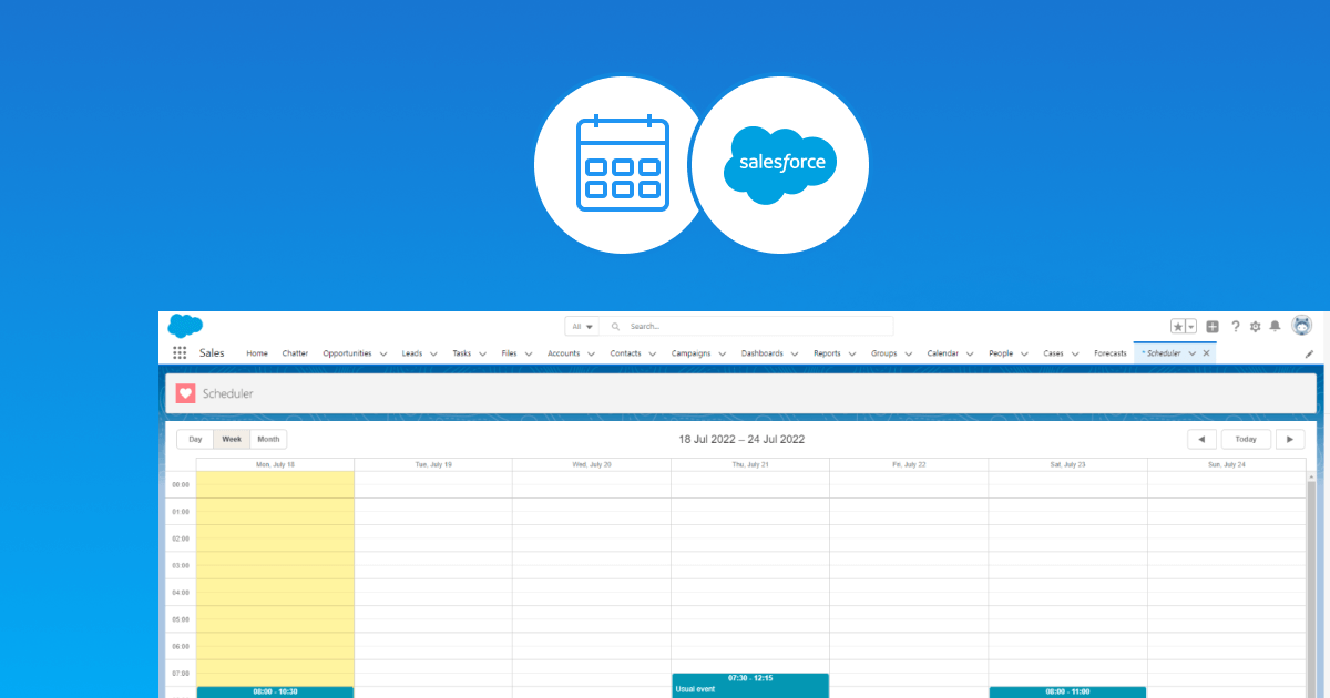 Salesforce Appointment Scheduling - DHTMLX Scheduler