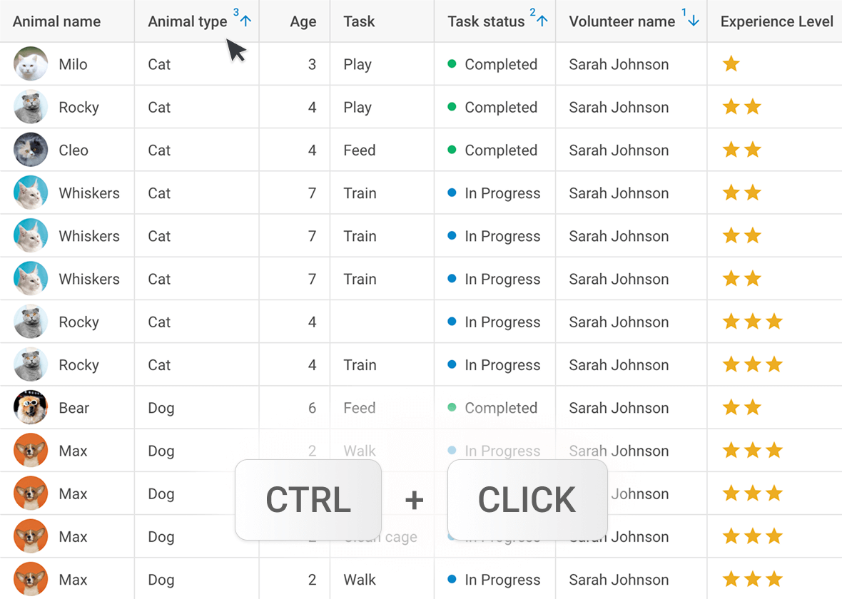 Javascript Datagrid Datatable Ui Widget Dhtmlx Grid